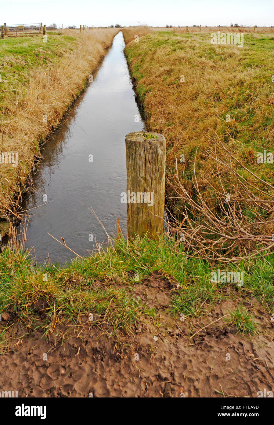 Land drainage dyke ditch hi-res stock photography and images - Alamy