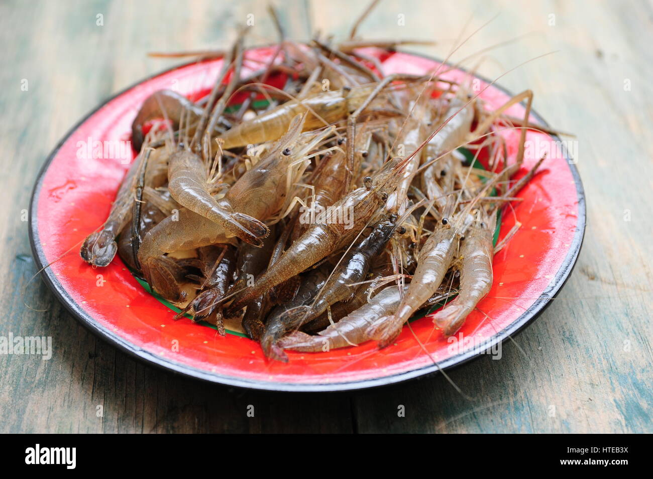 Vannamei shrimp hi-res stock photography and images - Alamy
