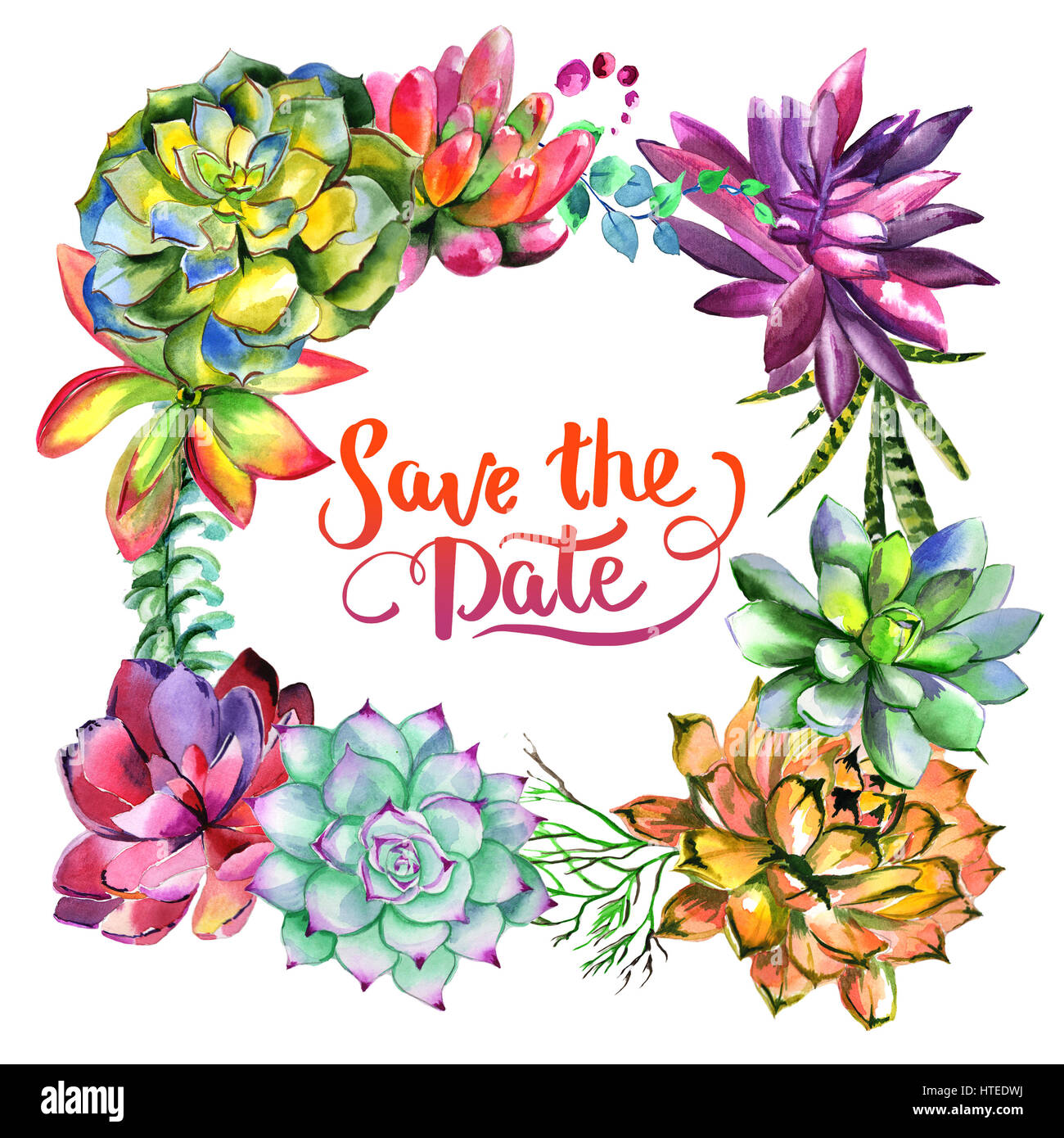 Wildflower succulentus flower frame in a watercolor style isolated ...