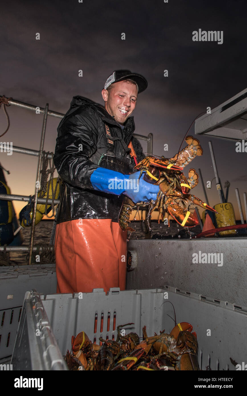 Lobster crates hi-res stock photography and images - Alamy