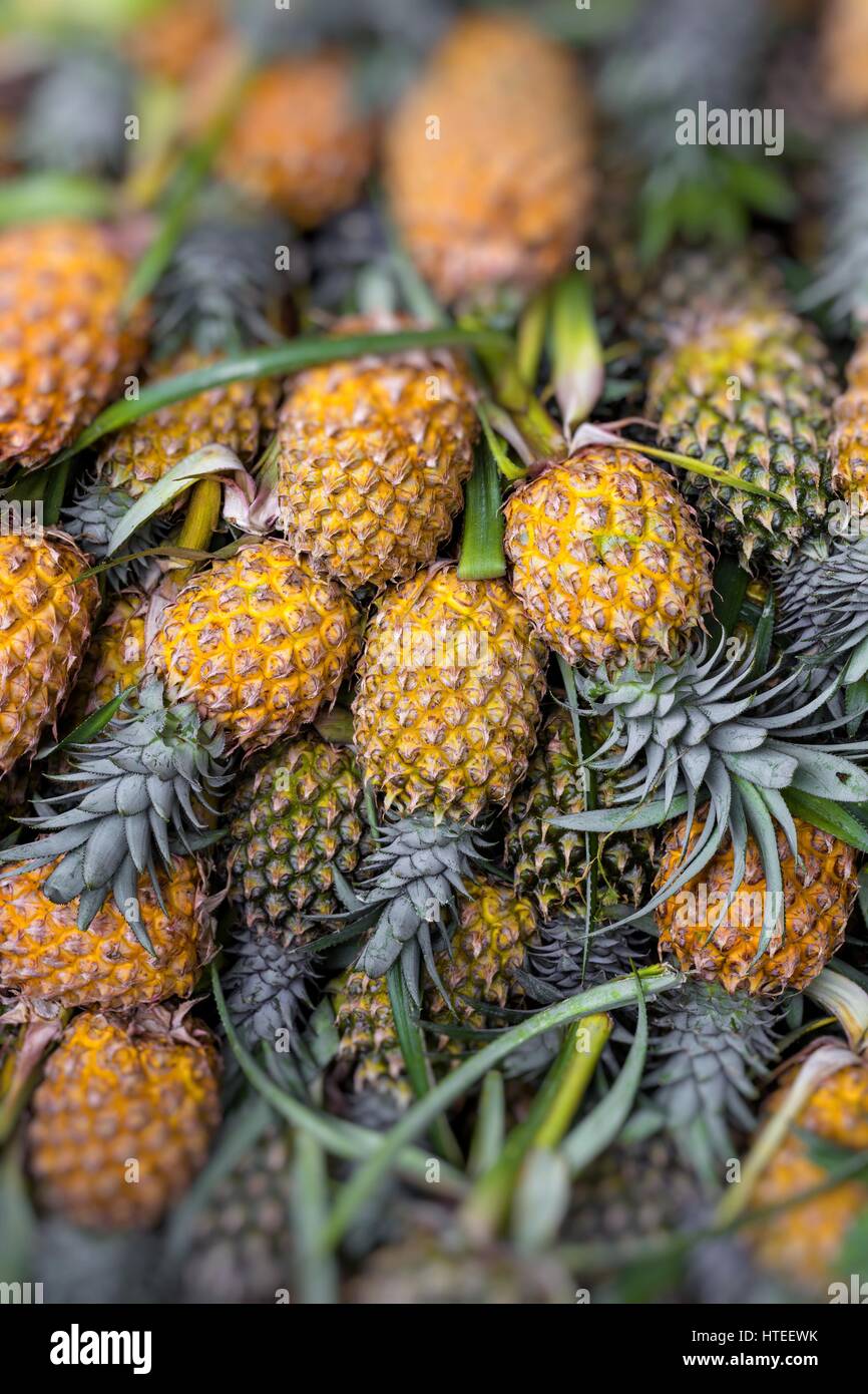 Fresh pineapple in local market in kandy hi-res stock photography and ...