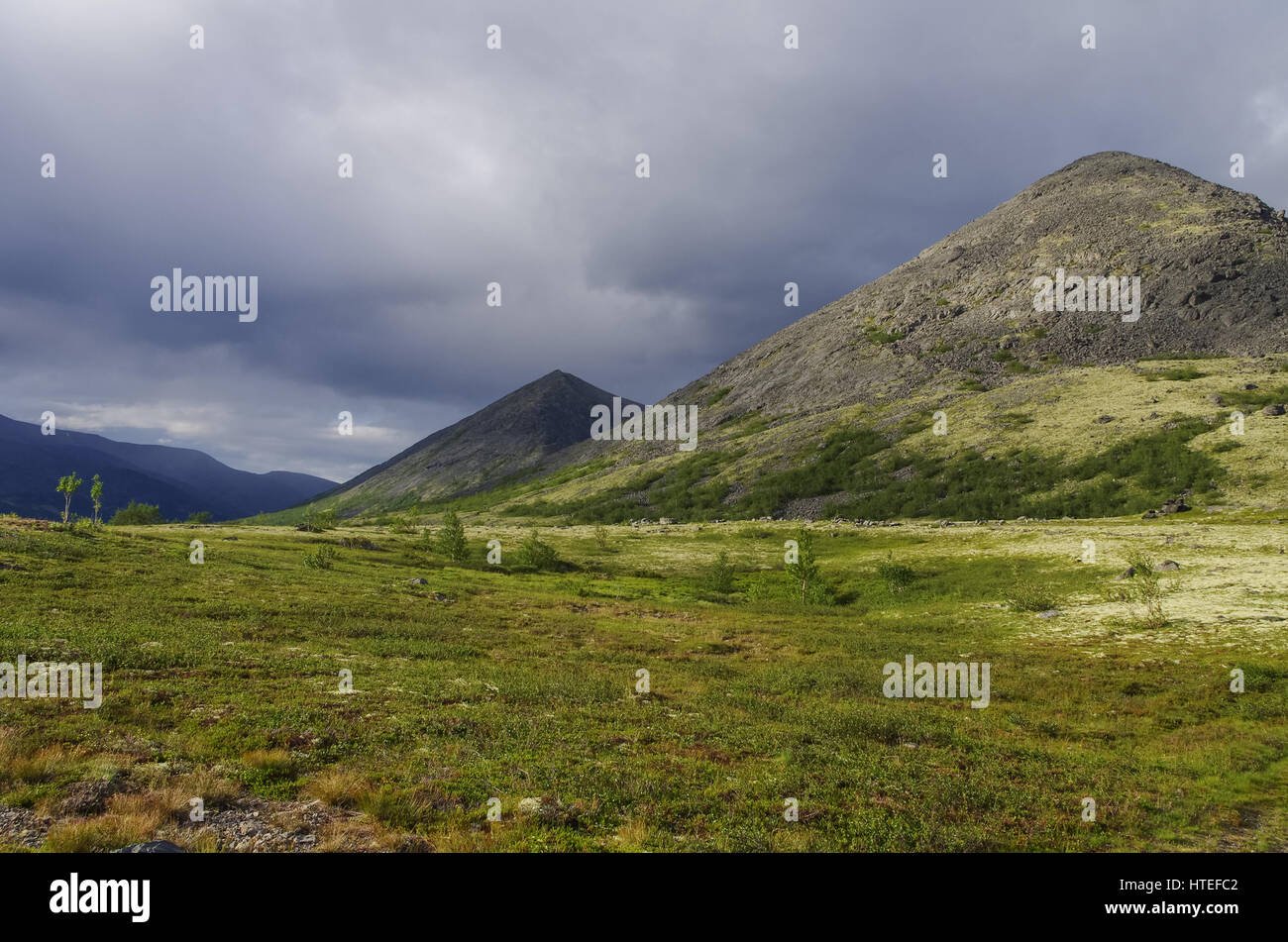 Mountain tundra with mosses and rocks covered with lichens, Hibiny ...