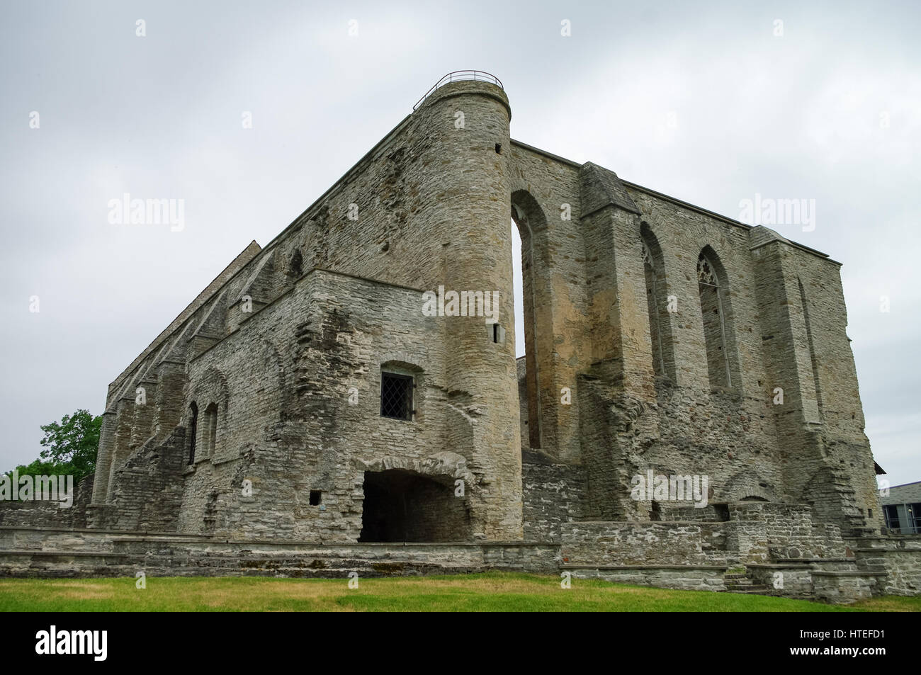Ancient ruined St. Brigitta convent in Pirita region, Tallinn, Estonia ...