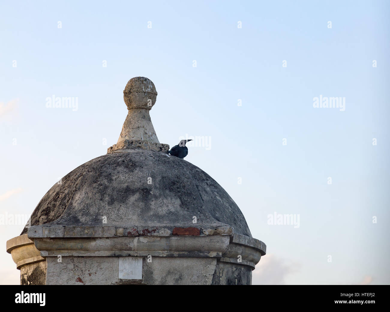 A bird rests on the top of a corner turret on the wall that protected ...