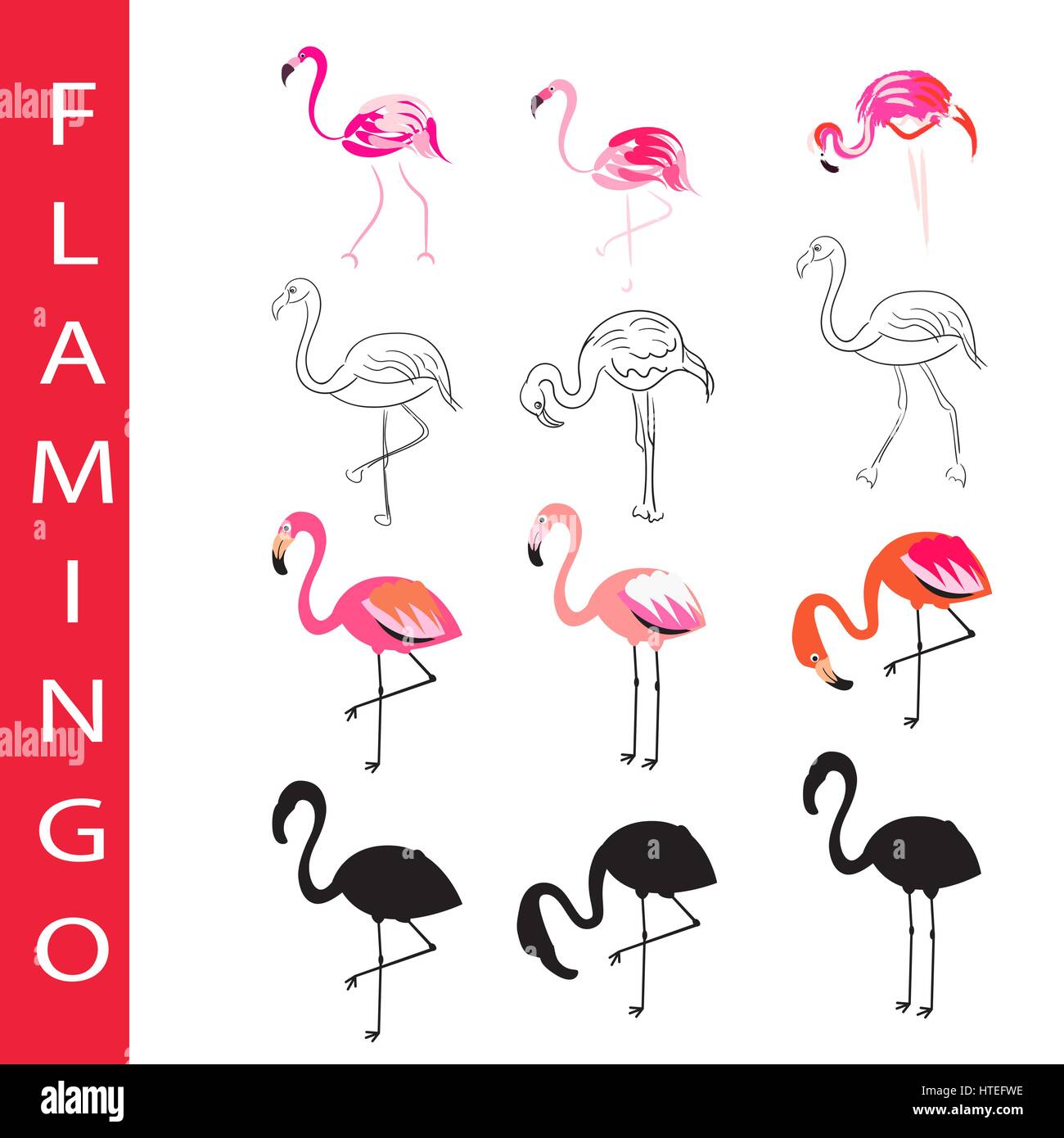 Flamingo vector set. Cartoon, outline and silhouette. Hand drawn sketch ...