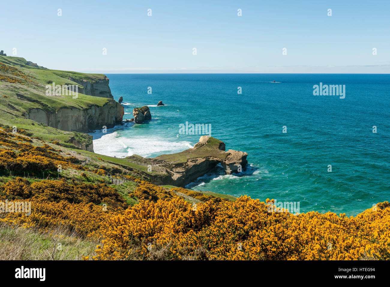 Cliff, Tunnel Beach, Dunedin, Otago Region, Southland, New Zealand ...