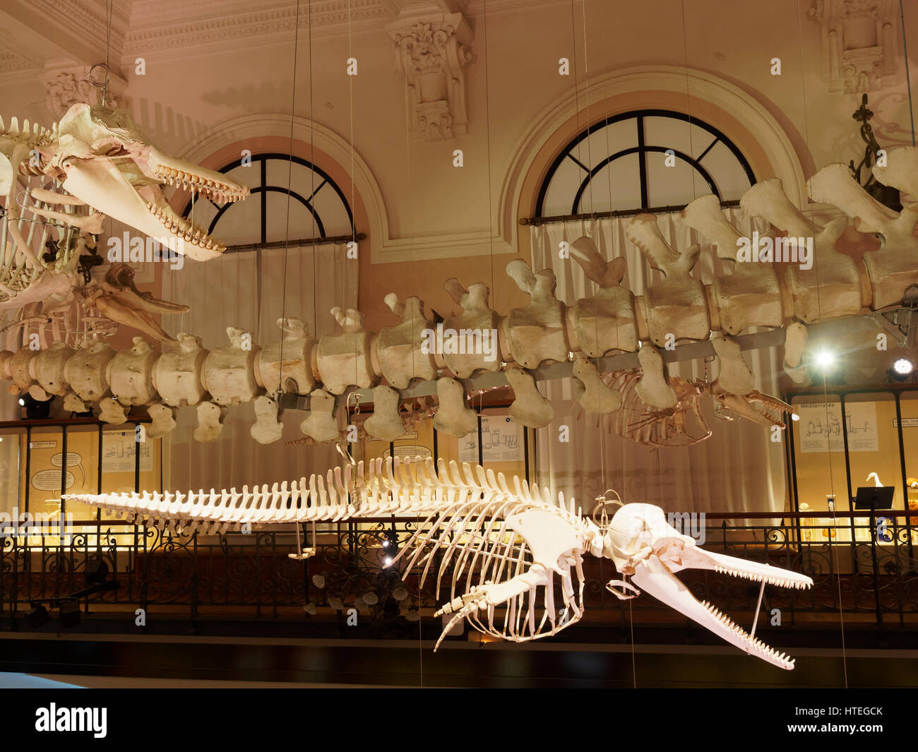 Oceanographic museum monaco hi-res stock photography and images - Alamy