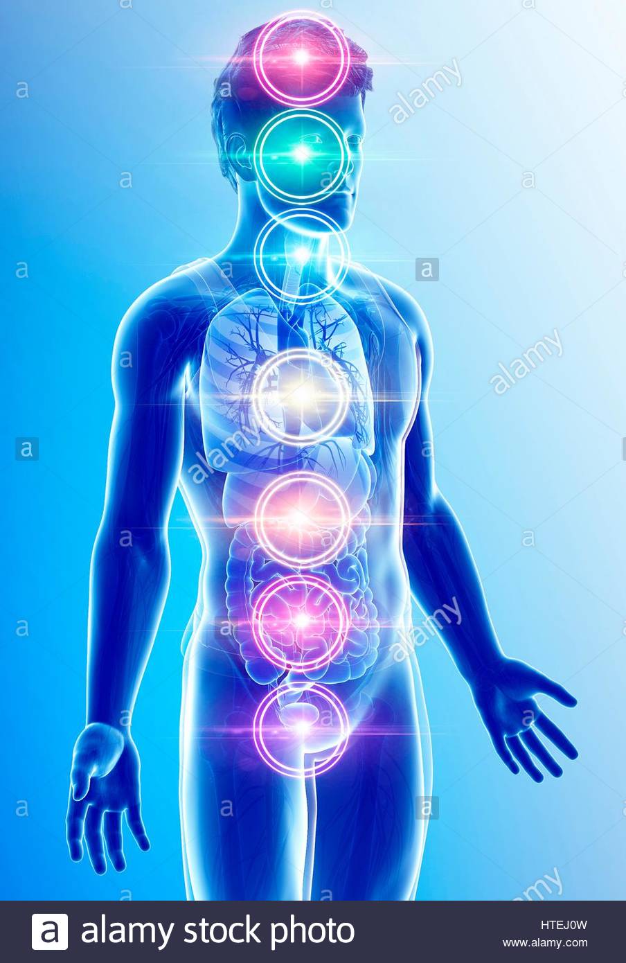Chakra Stock Photos & Chakra Stock Images - Alamy