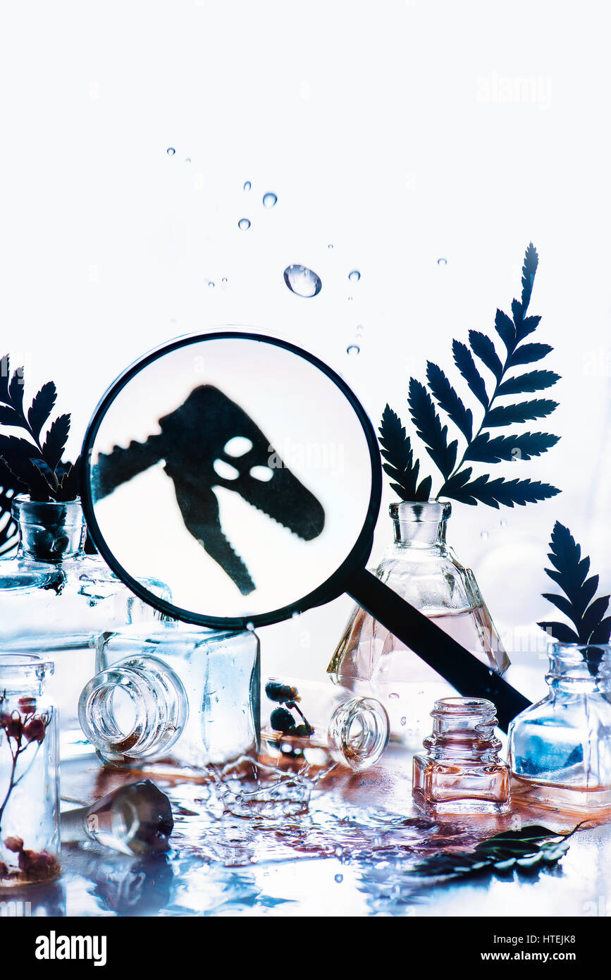 High key still life with leaves, flowers, toy dinosaur, magnifying ...