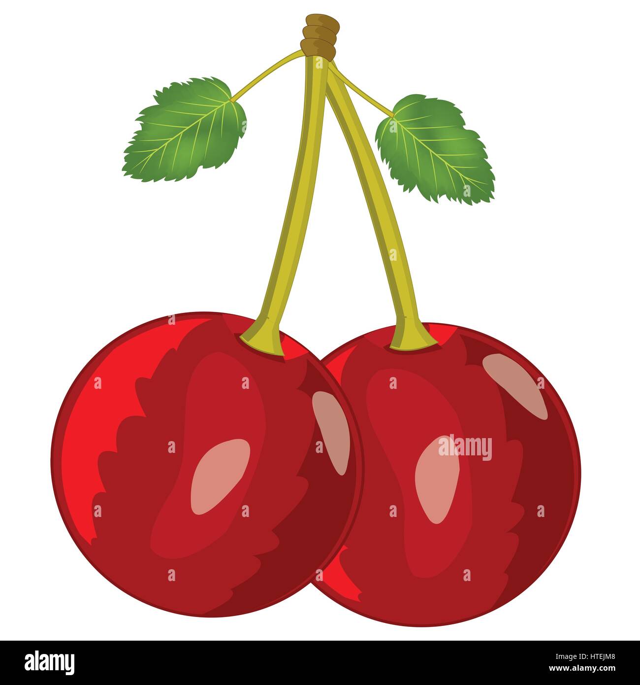 Ripe berry cherry Stock Vector Image & Art - Alamy