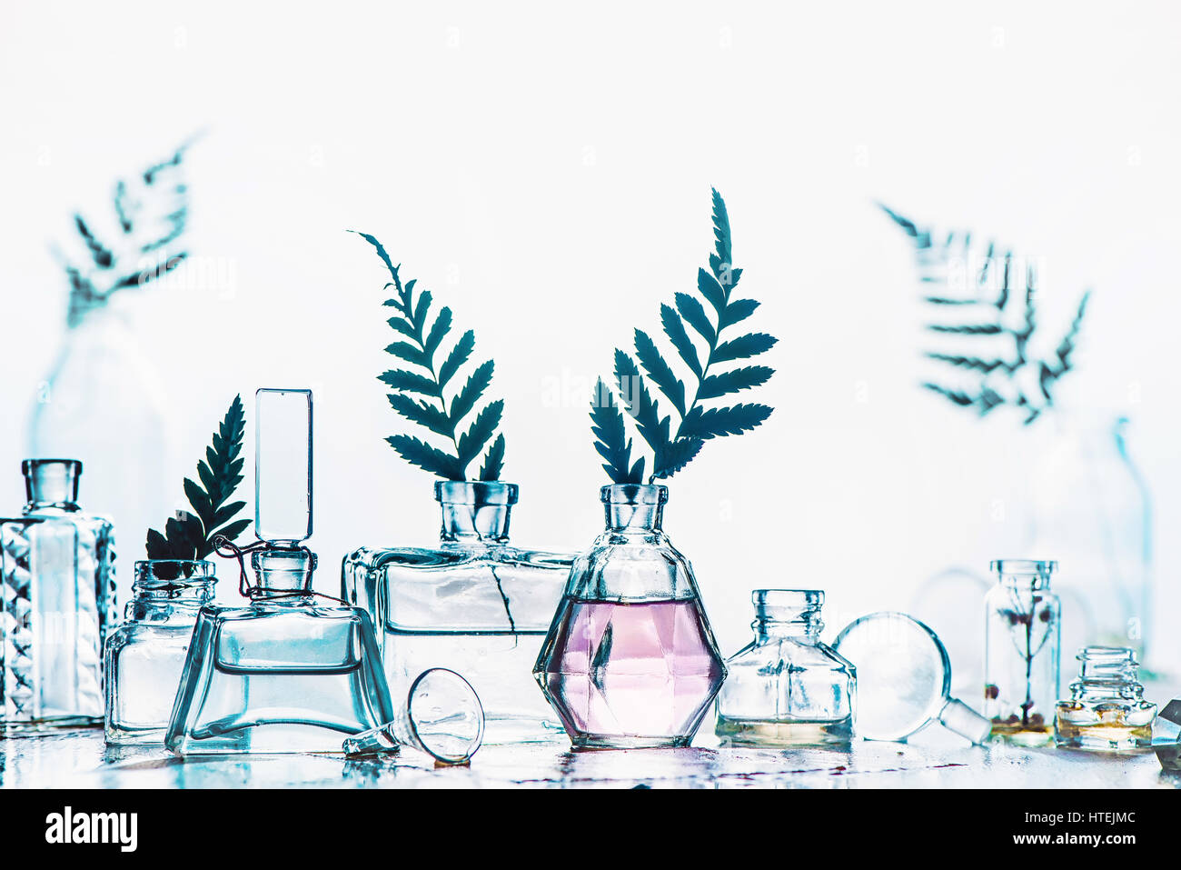 High key still life with glass bottle collection, fern leaves and water ...