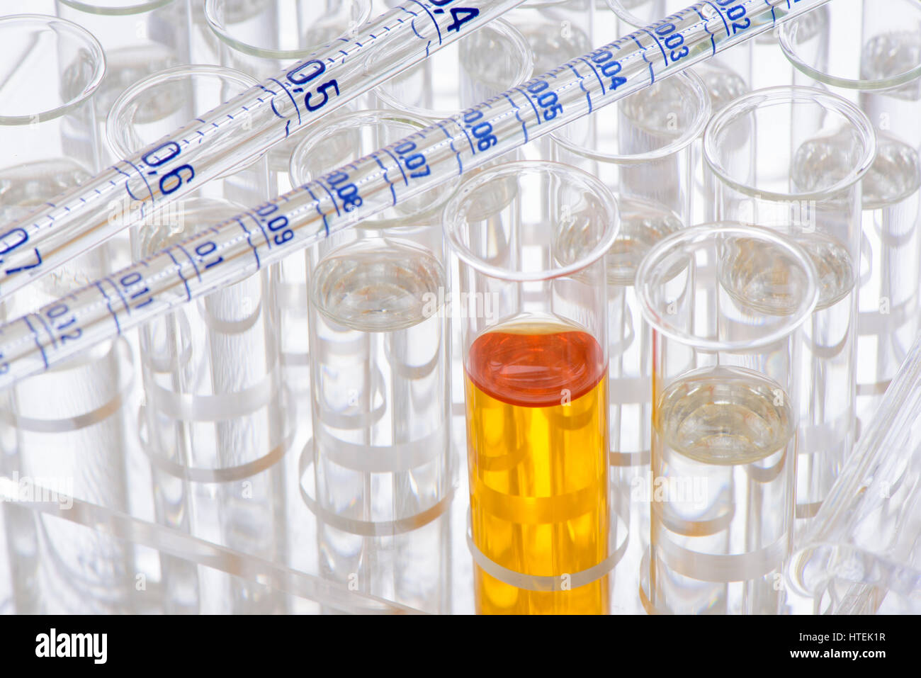 Yellow laboratory hi-res stock photography and images - Alamy