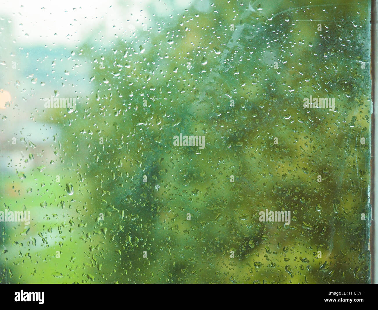 Wet window pane with rain water droplets and greenery background Stock Photo - Alamy