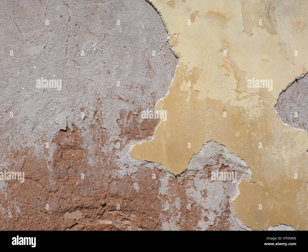 Damage caused by damp and moisture on a wall Stock Photo - Alamy