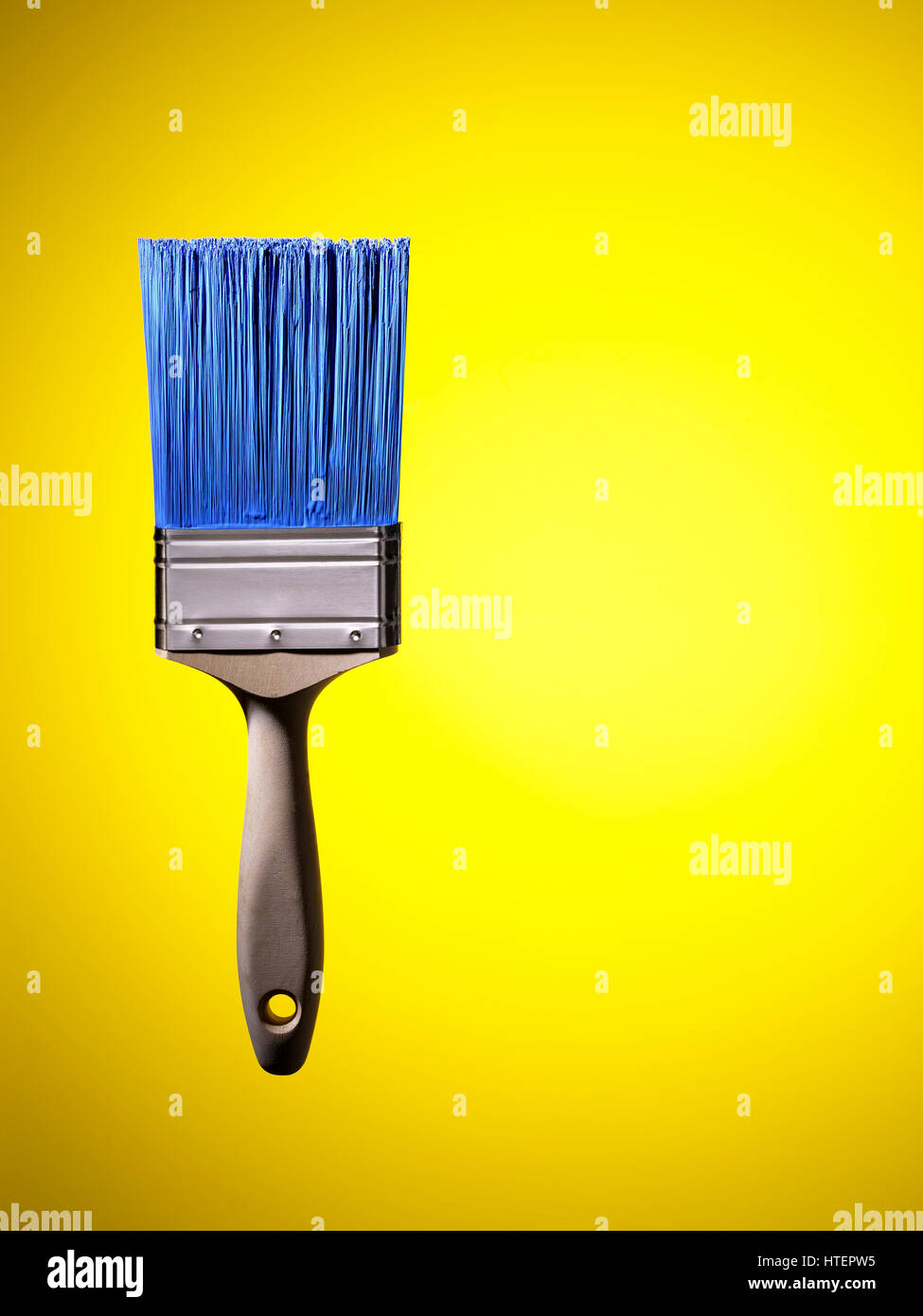 Paintbrush with blue paint Stock Photo - Alamy