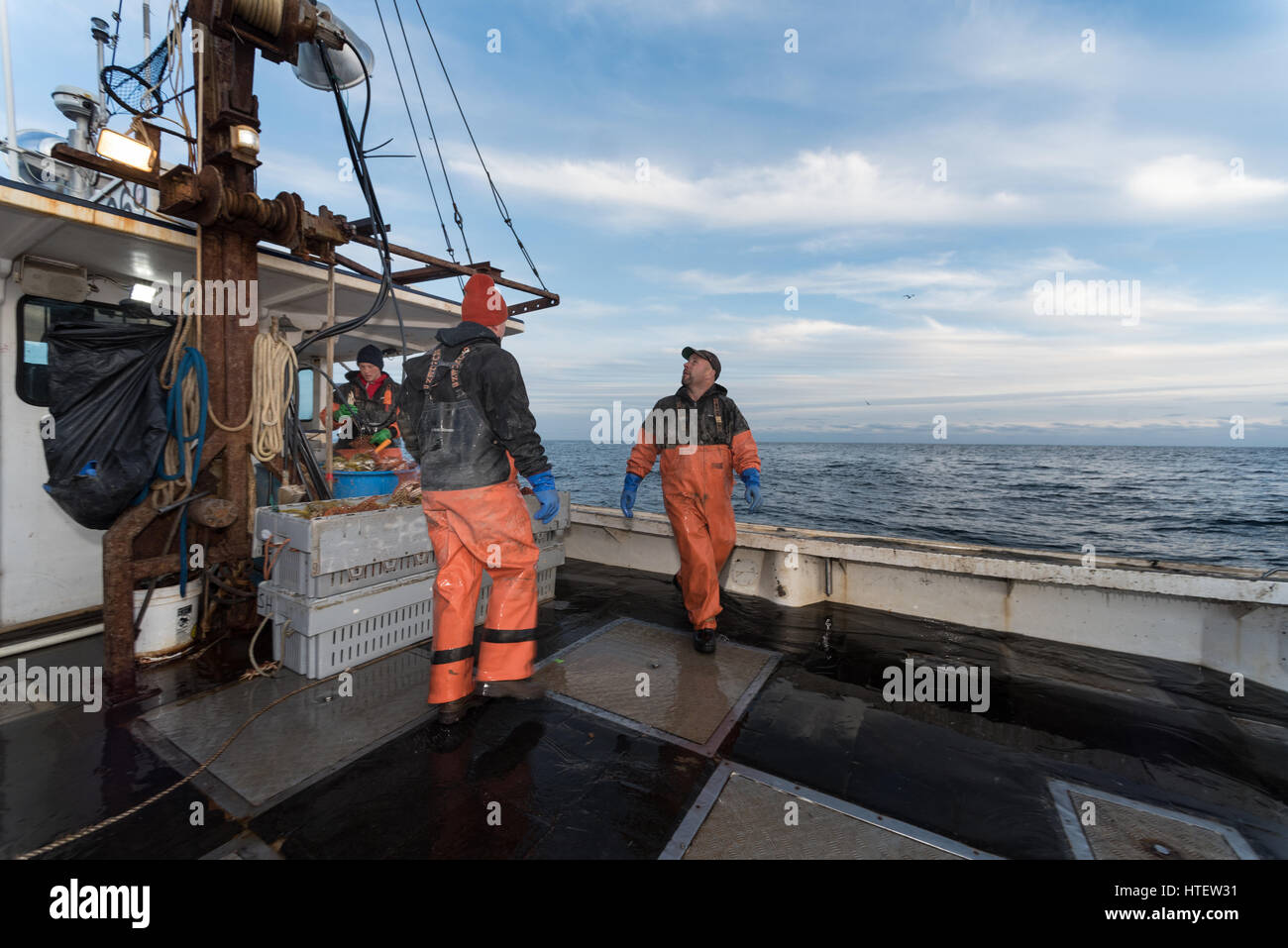 Lobster boat Captain checking out his boat as sternman fill bait bags ...