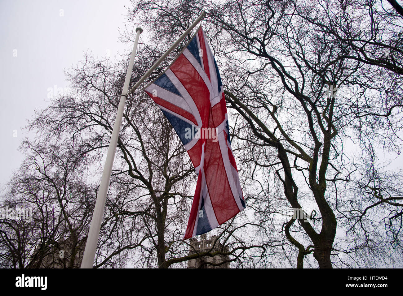 London, UK. 10th Mar, 2017. Flags of the Nation of the Commonwealth ...