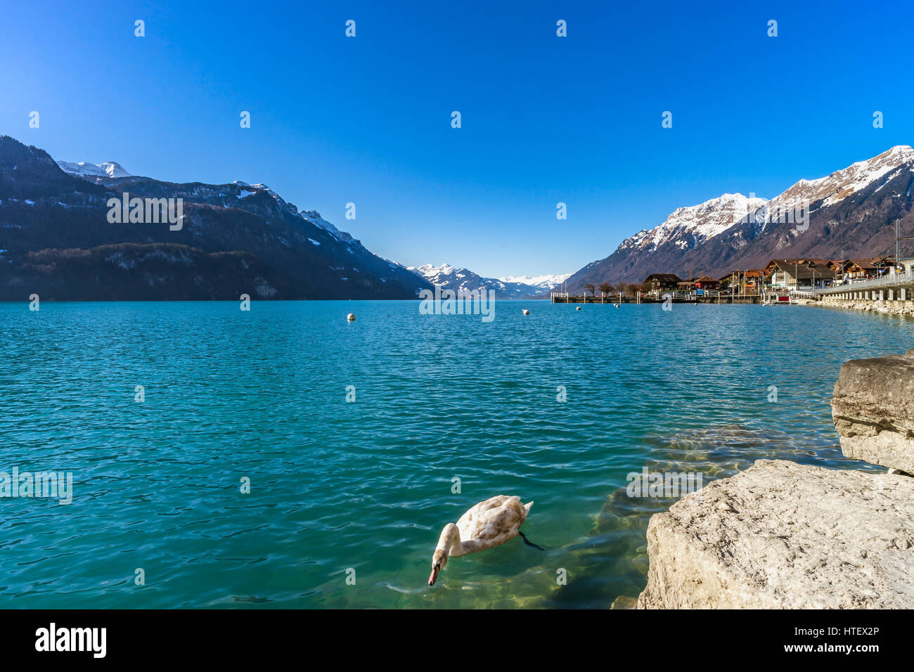 Clear water in Brienz lake, winter day, Switzerland Stock Photo - Alamy