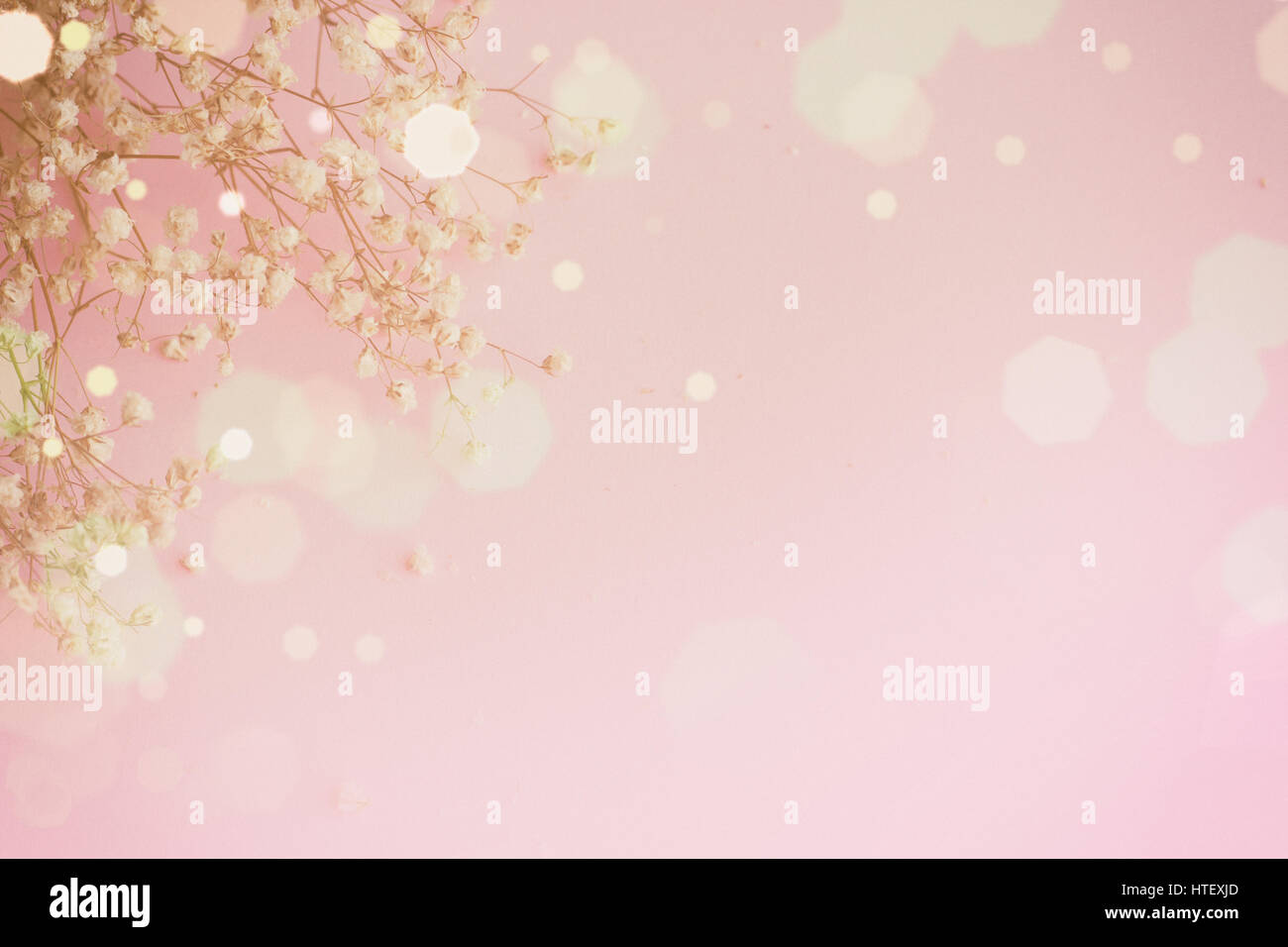 Abstract pink background Stock Photo - Alamy