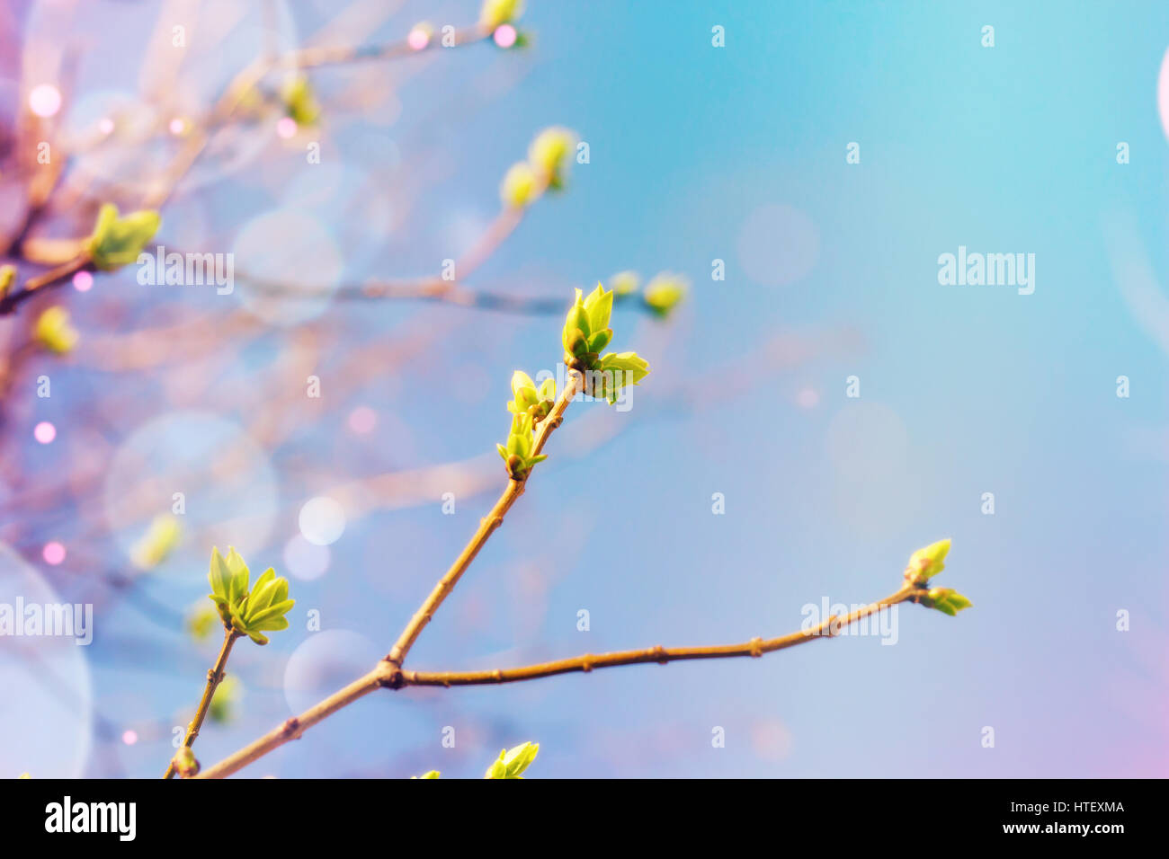 Abstract spring background Stock Photo - Alamy