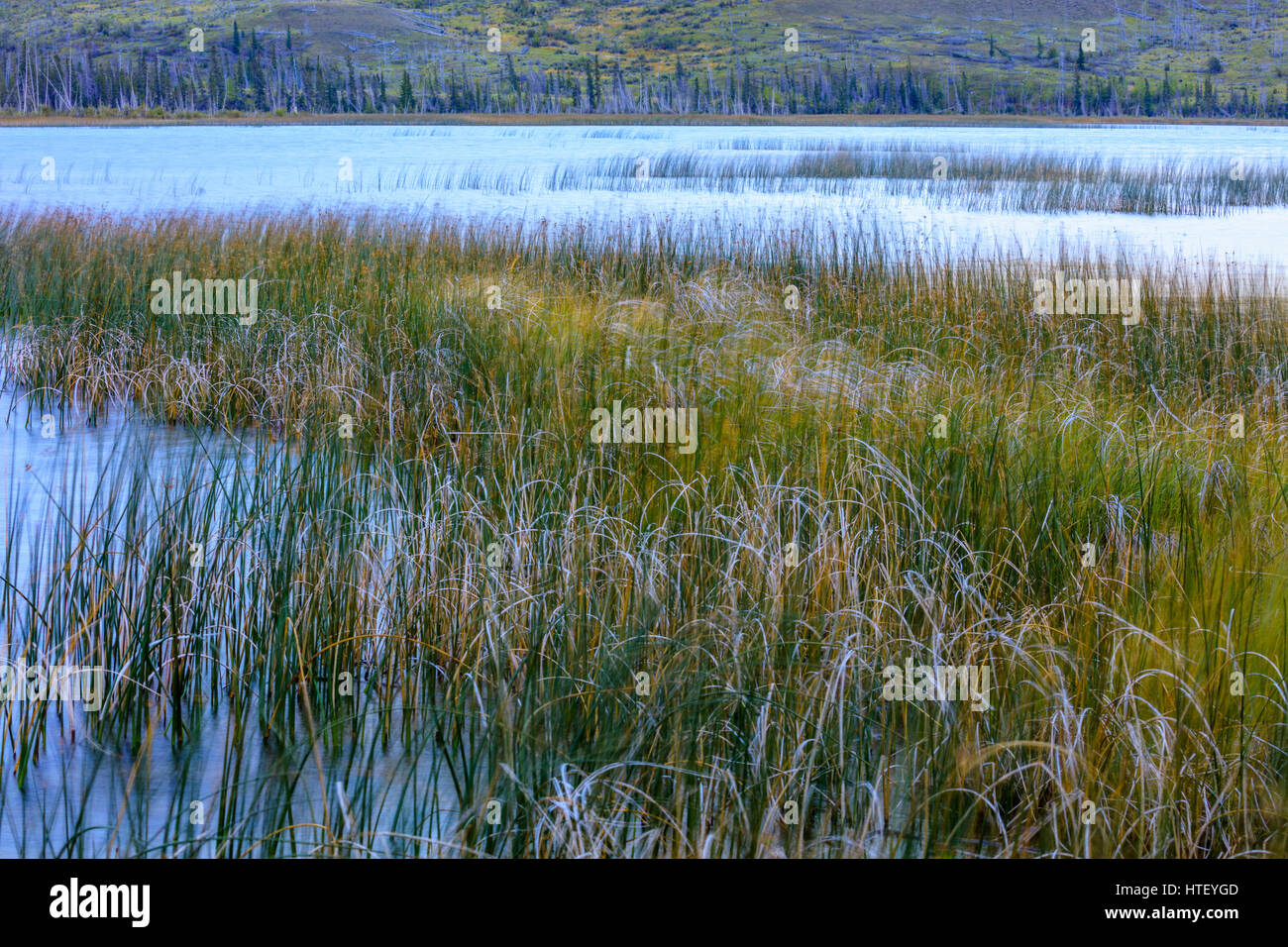 Talbot lake in jasper national park hi-res stock photography and images ...