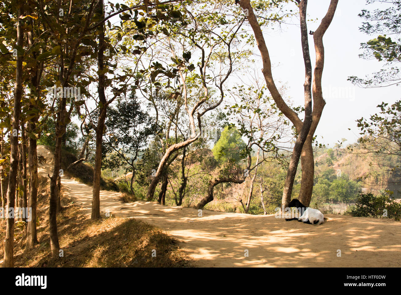 Maheshkhali island hi-res stock photography and images - Alamy