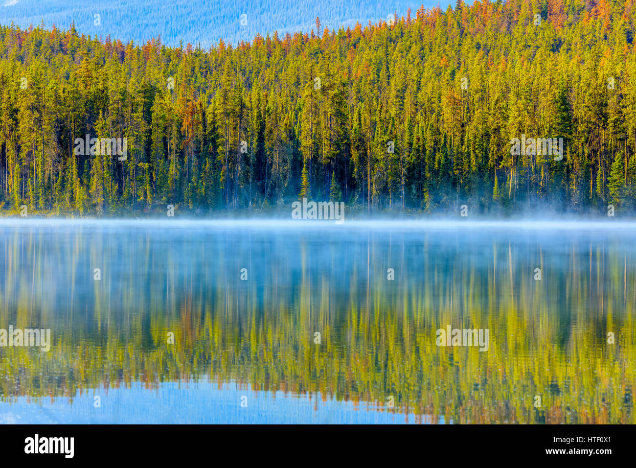 Leach Lake along the Icefields Parkway, Jasper National Park Stock ...
