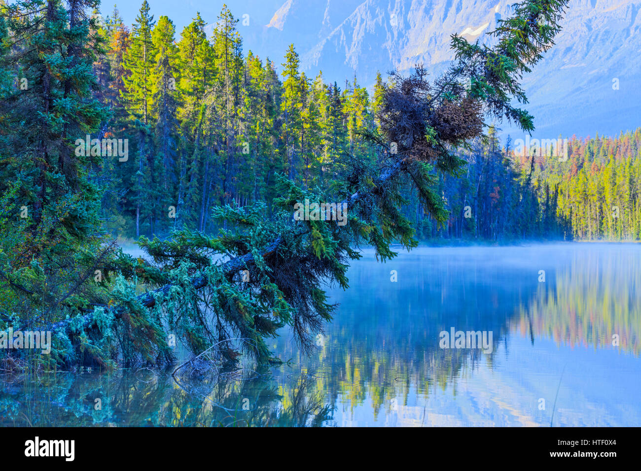 Leach Lake along the Icefields Parkway, Jasper National Park Stock ...