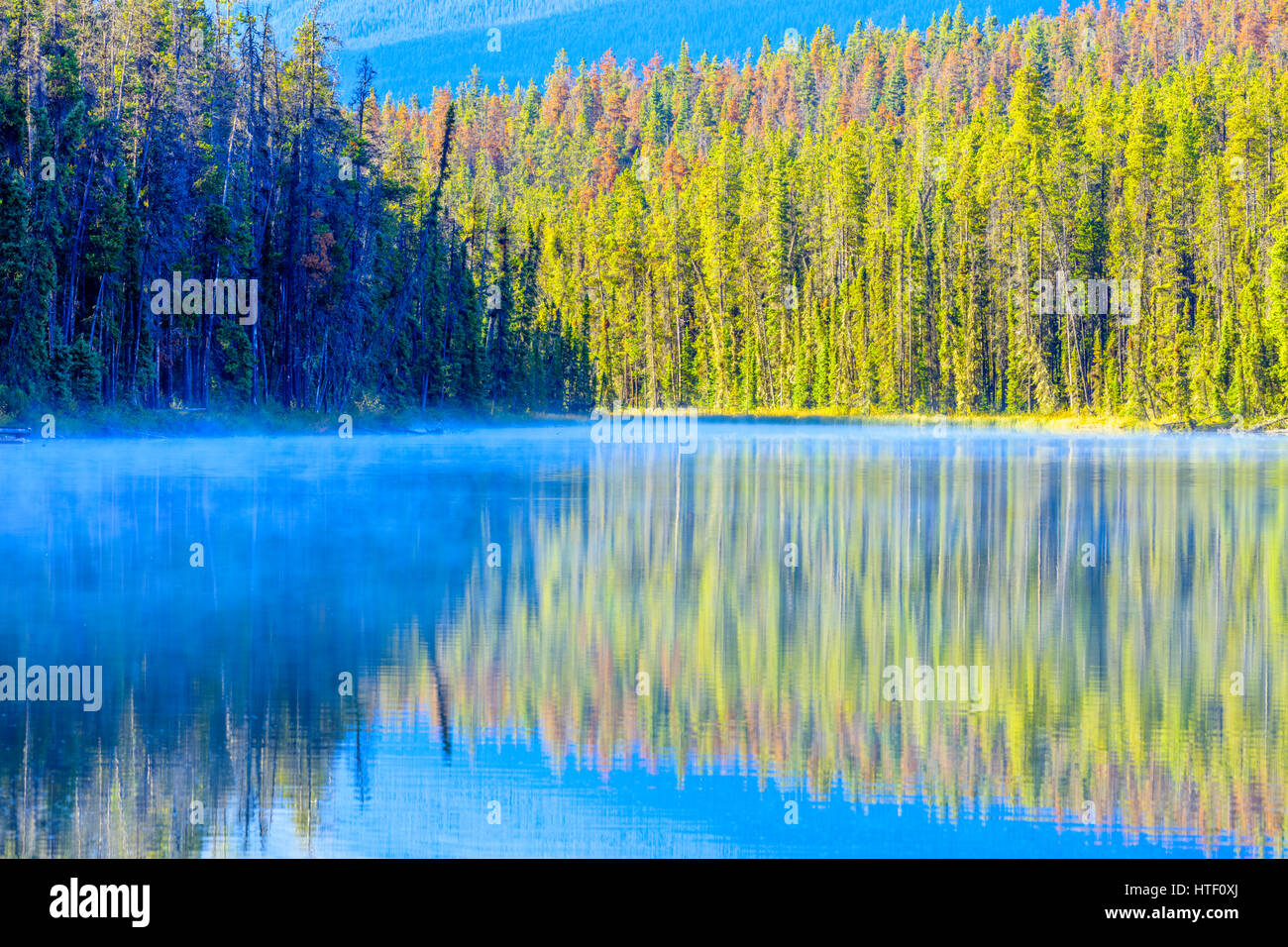 Leach Lake along the Icefields Parkway, Jasper National Park Stock ...