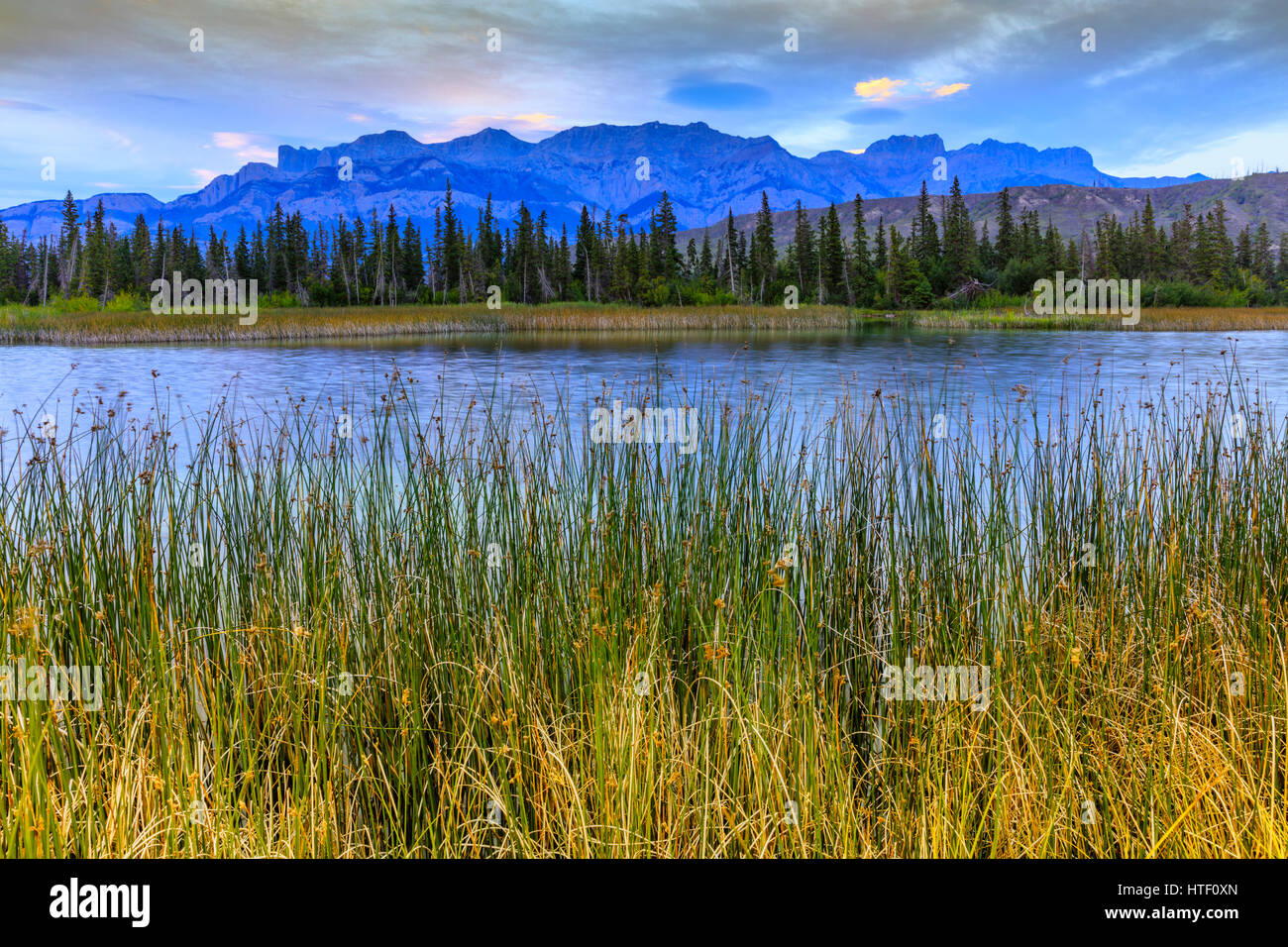 Talbot Lake, Jasper National Park Stock Photo - Alamy