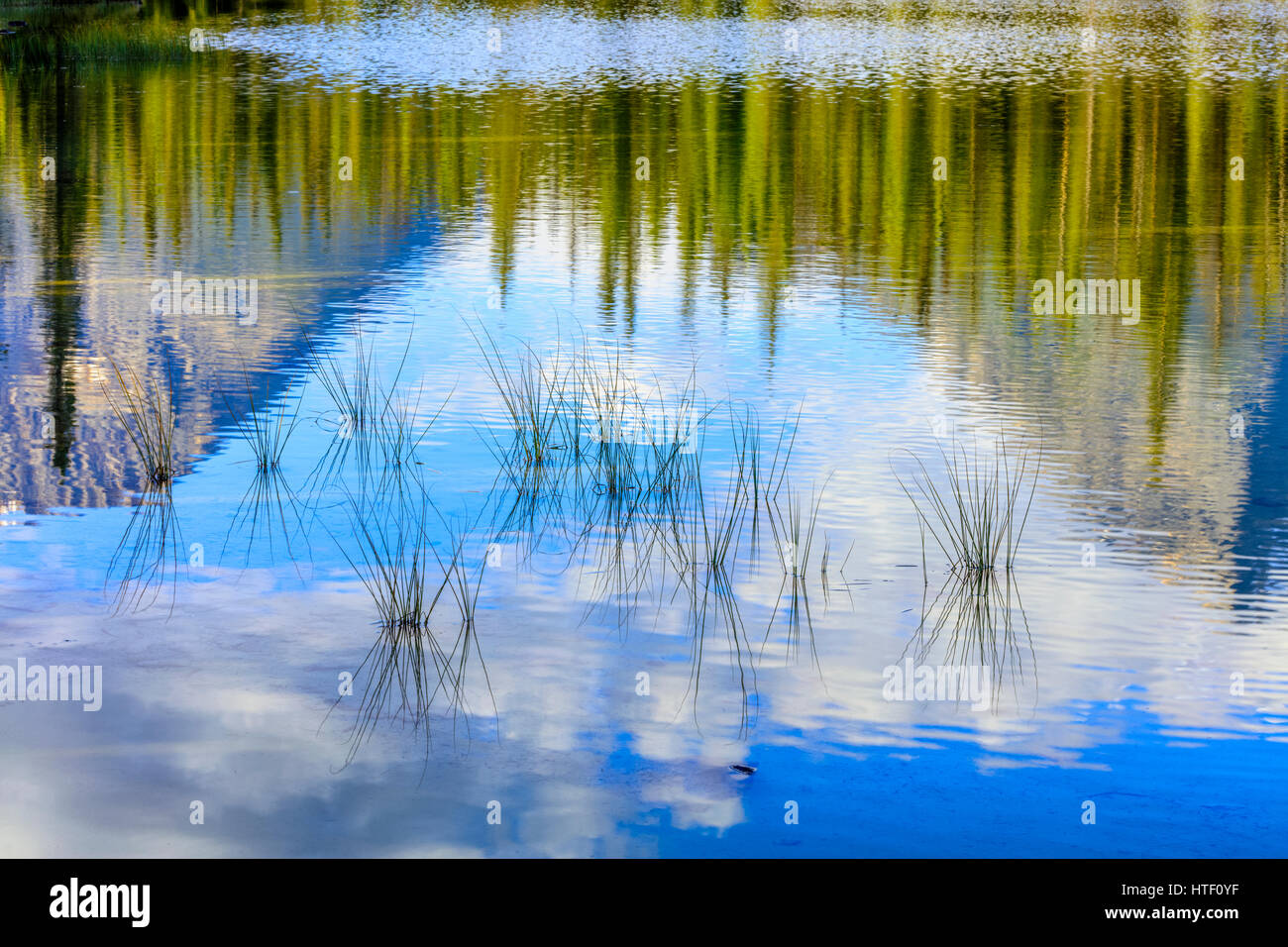 Mount Fryatt Pond along the Icefields Parkway, Jasper National Park ...