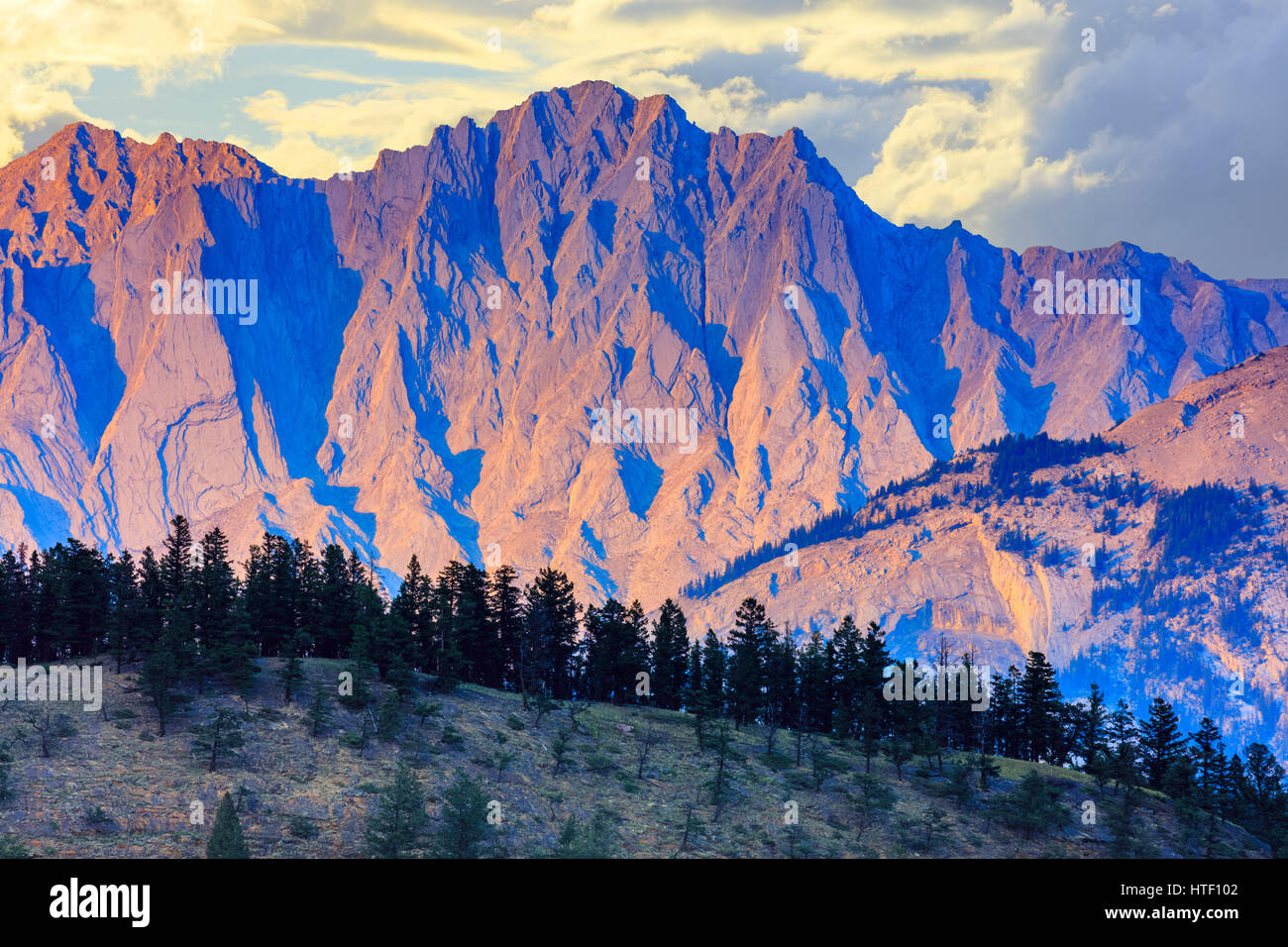 Colin Range views from Patricia Lake, Jasper National Park Stock Photo ...