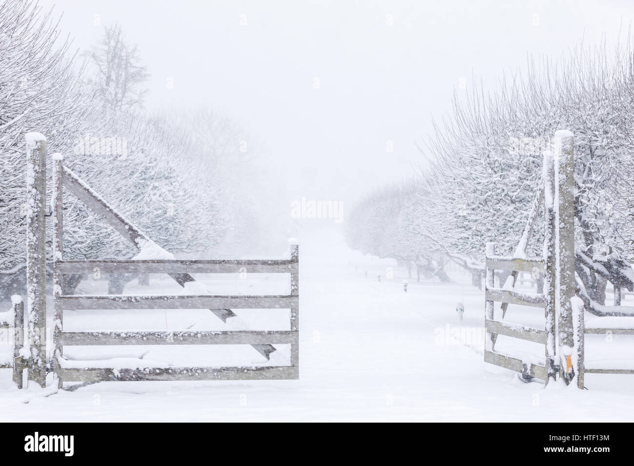 Storm gate hi-res stock photography and images - Alamy