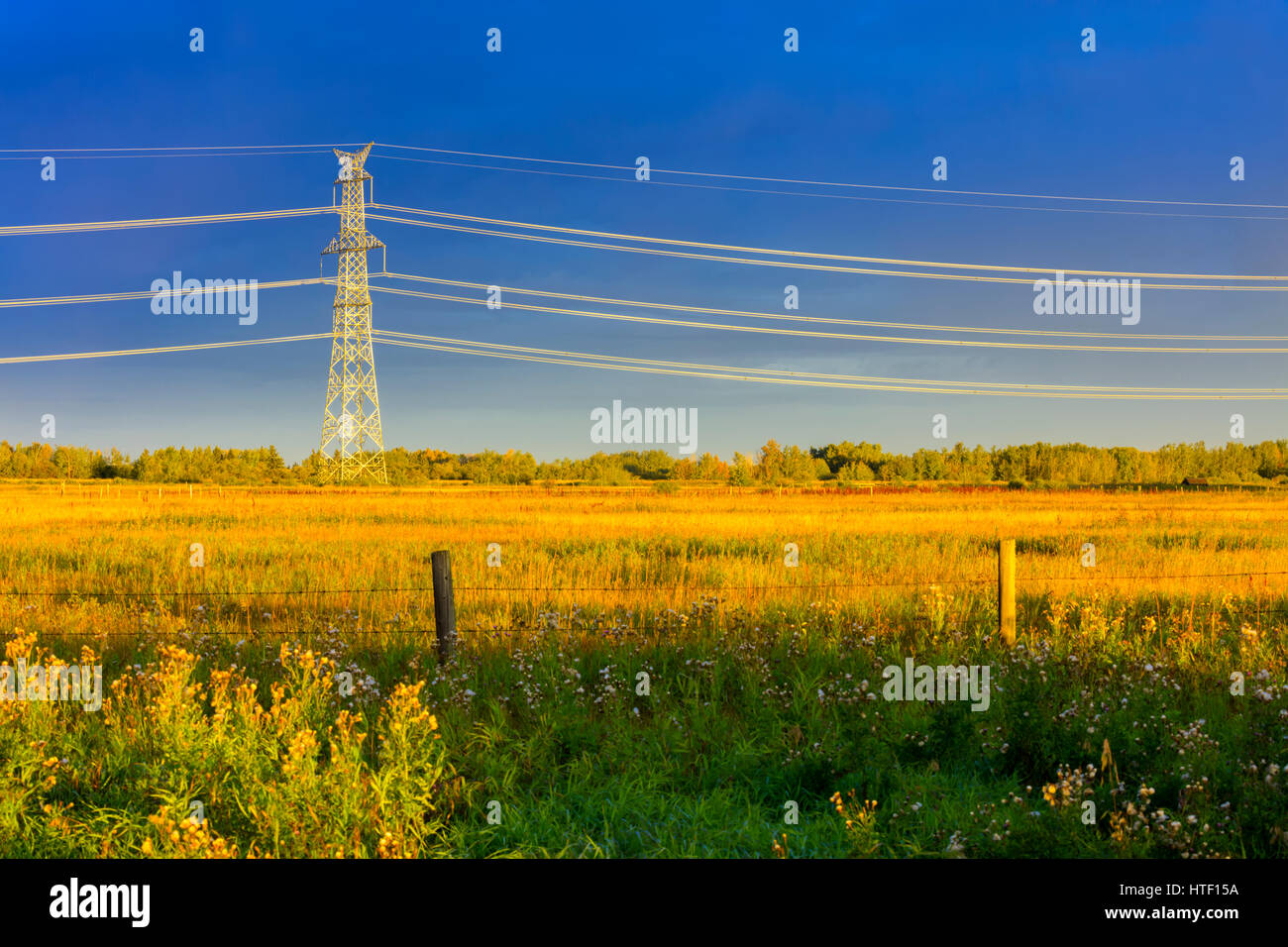 Power transmission lines Stock Photo - Alamy