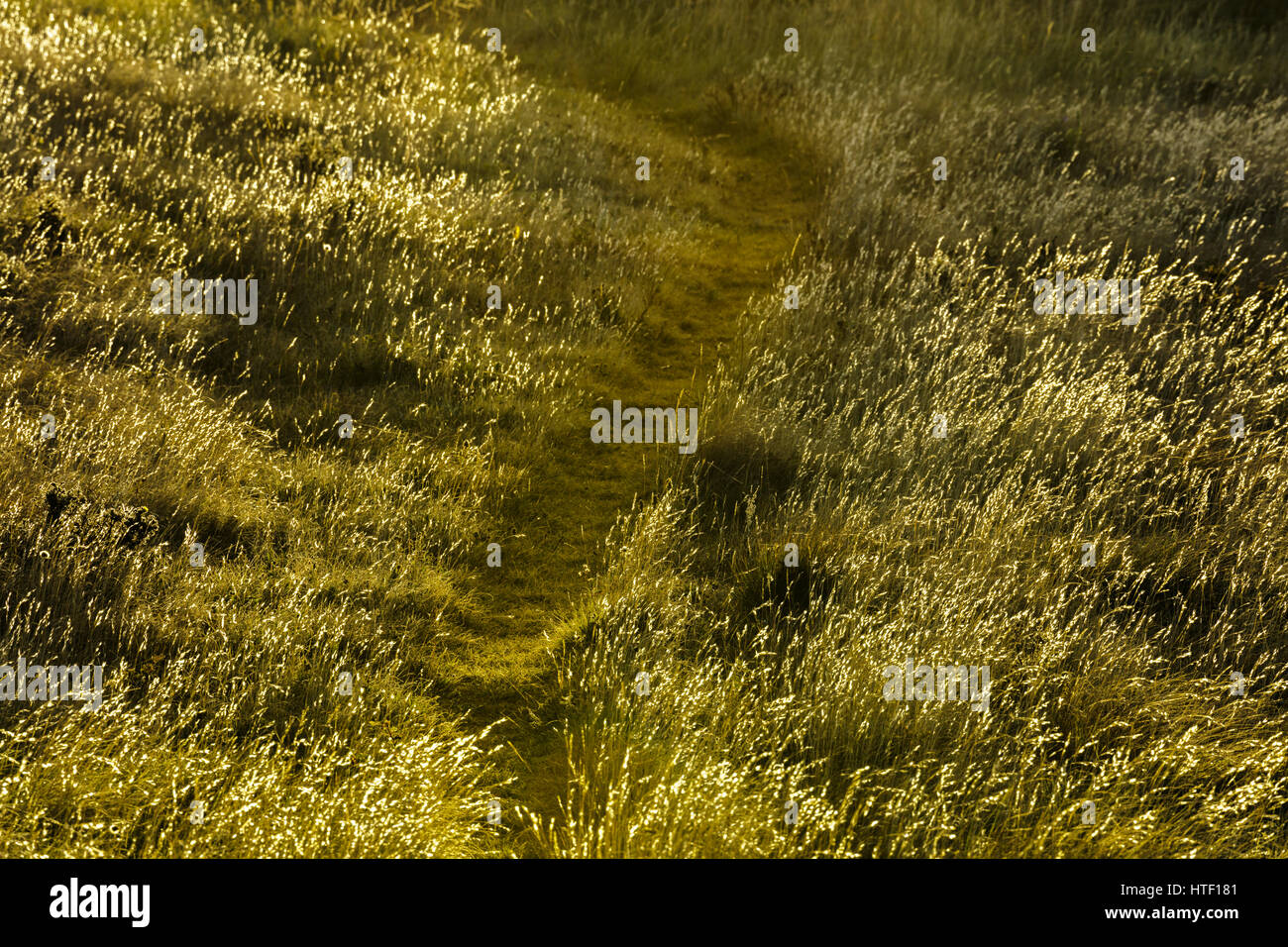 Pathway to discovery hi-res stock photography and images - Alamy