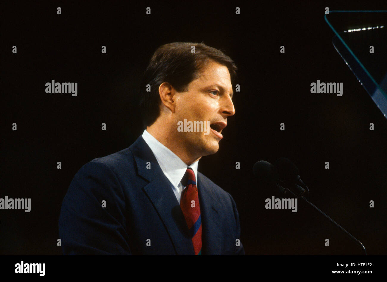 Democratic Vice-Presidential candidate Senator Albert Gore Jr of ...