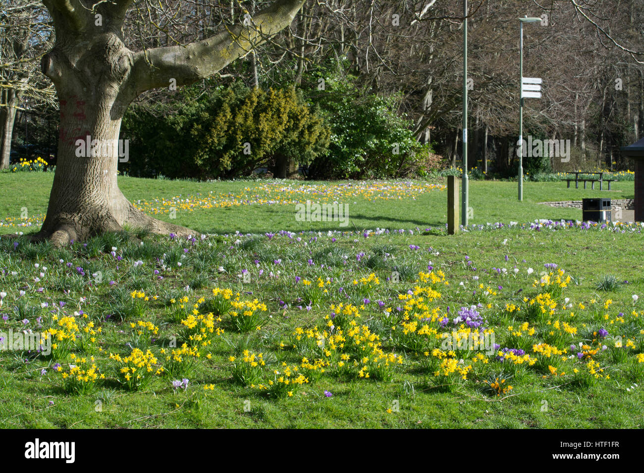 Eastrop Park in Basingstoke, Hampshire, UK, with spring flowers Stock ...