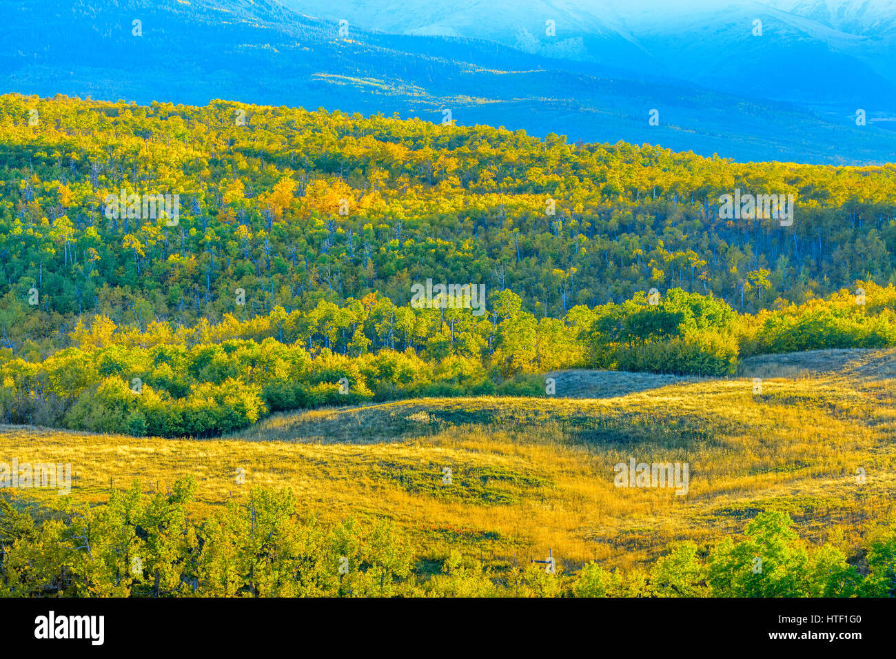 Alberta foothills country, Canada Stock Photo - Alamy