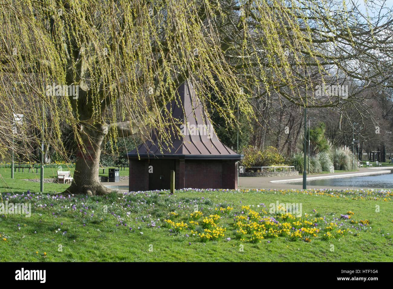 Eastrop park basingstoke hi-res stock photography and images - Alamy