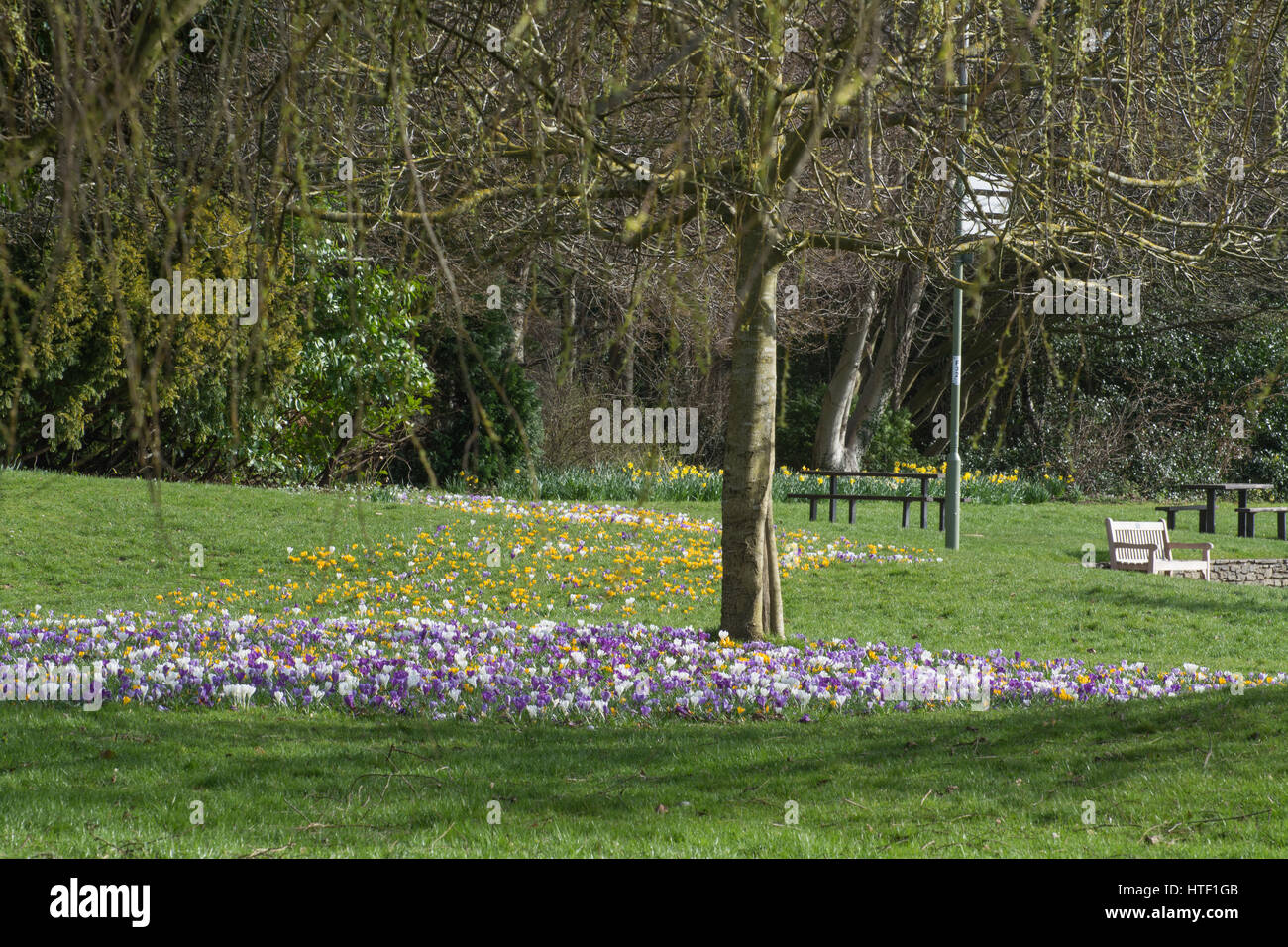 Eastrop Park in Basingstoke, Hampshire, UK, with spring flowers Stock ...
