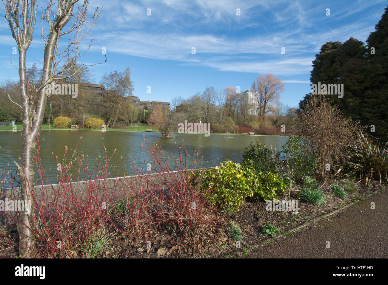 Park with blue flowers hi-res stock photography and images - Alamy
