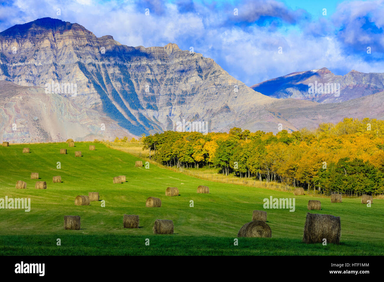 Alberta foothills hi-res stock photography and images - Alamy
