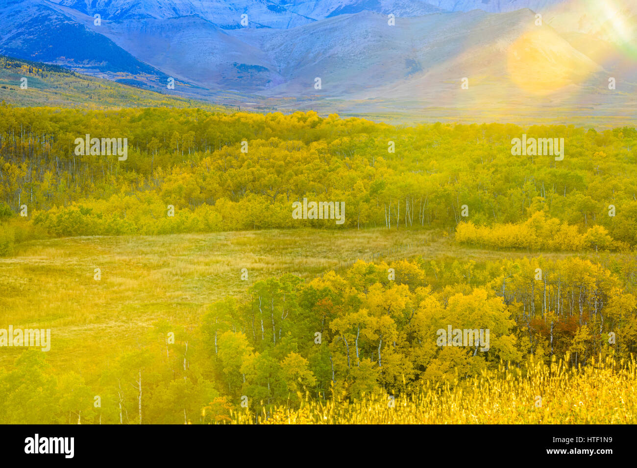 Alberta foothills country, Canada Stock Photo - Alamy
