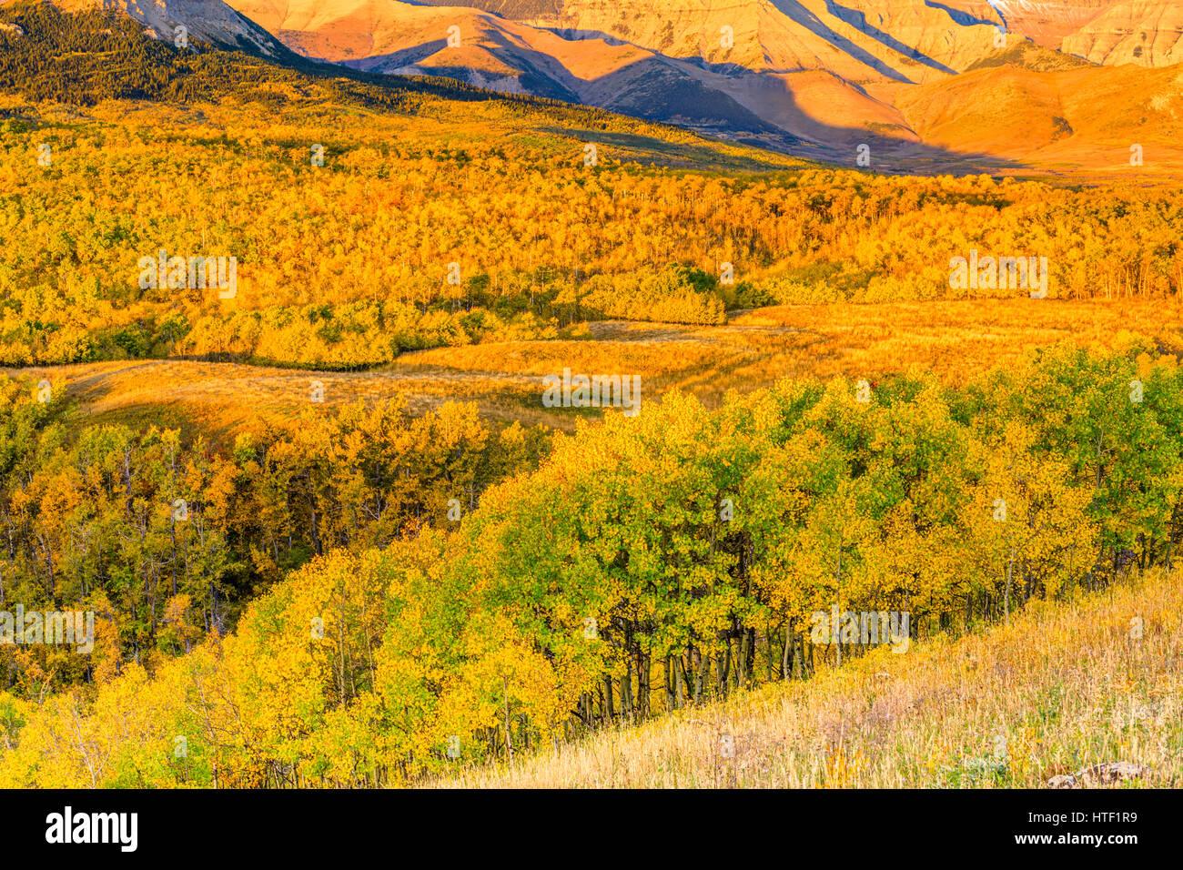 Alberta foothills country, Canada Stock Photo - Alamy
