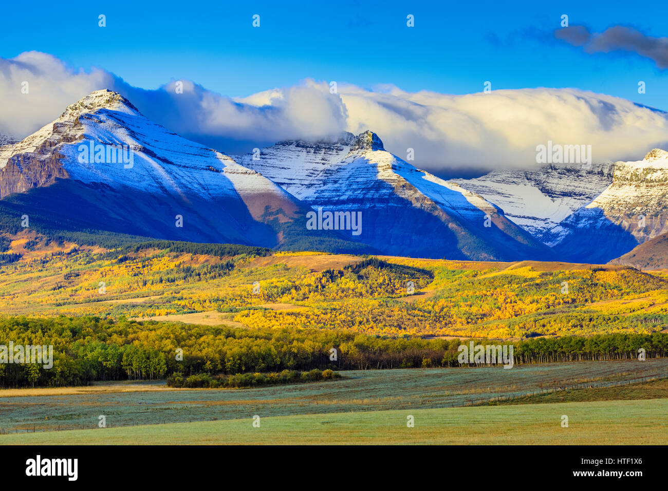 Foothills ecosystem hi-res stock photography and images - Alamy