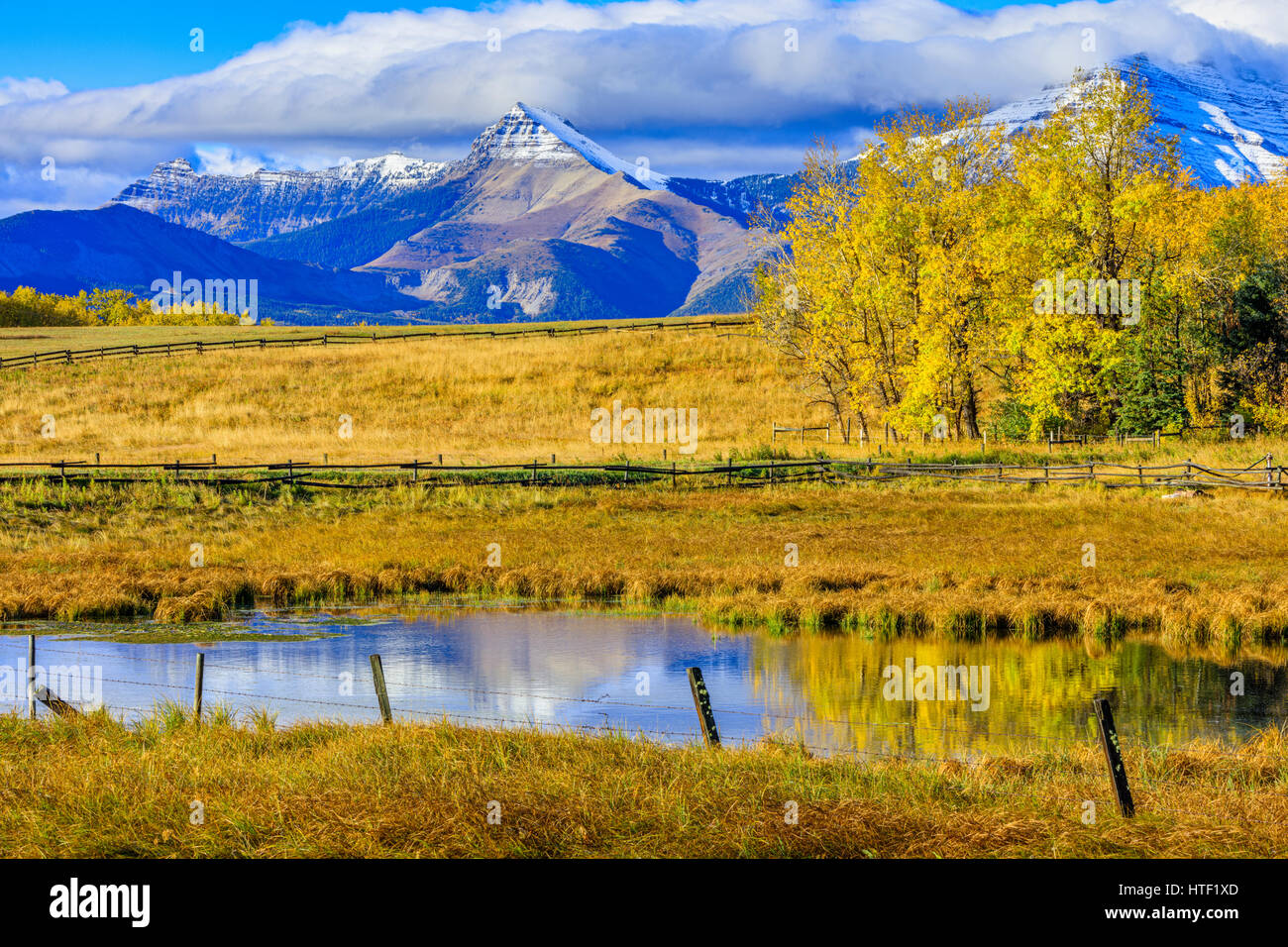 Foothills ecosystem hi-res stock photography and images - Alamy