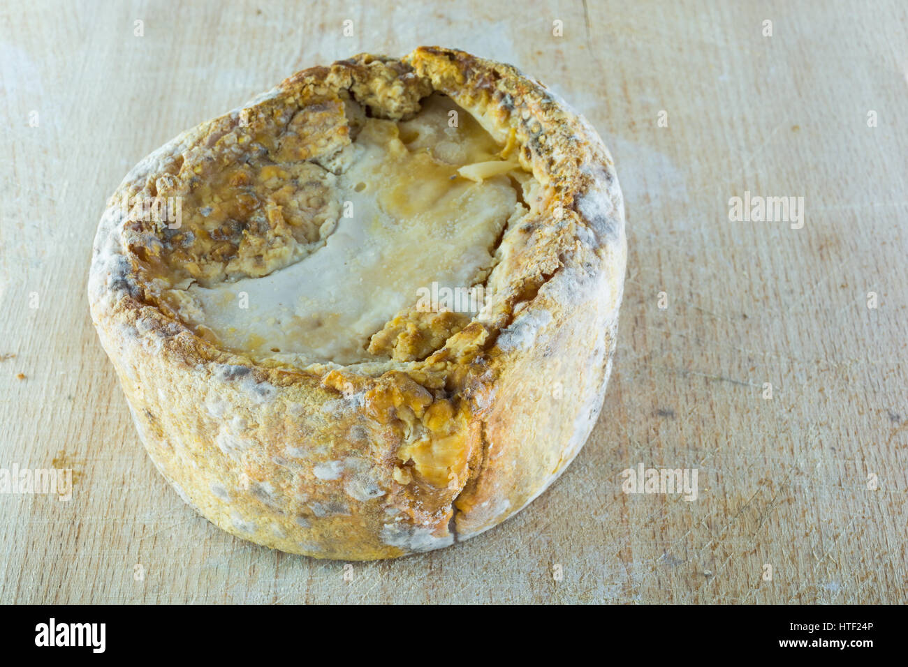 The form of hard cheese of a bloomy rind goat's milk, frost crust ...