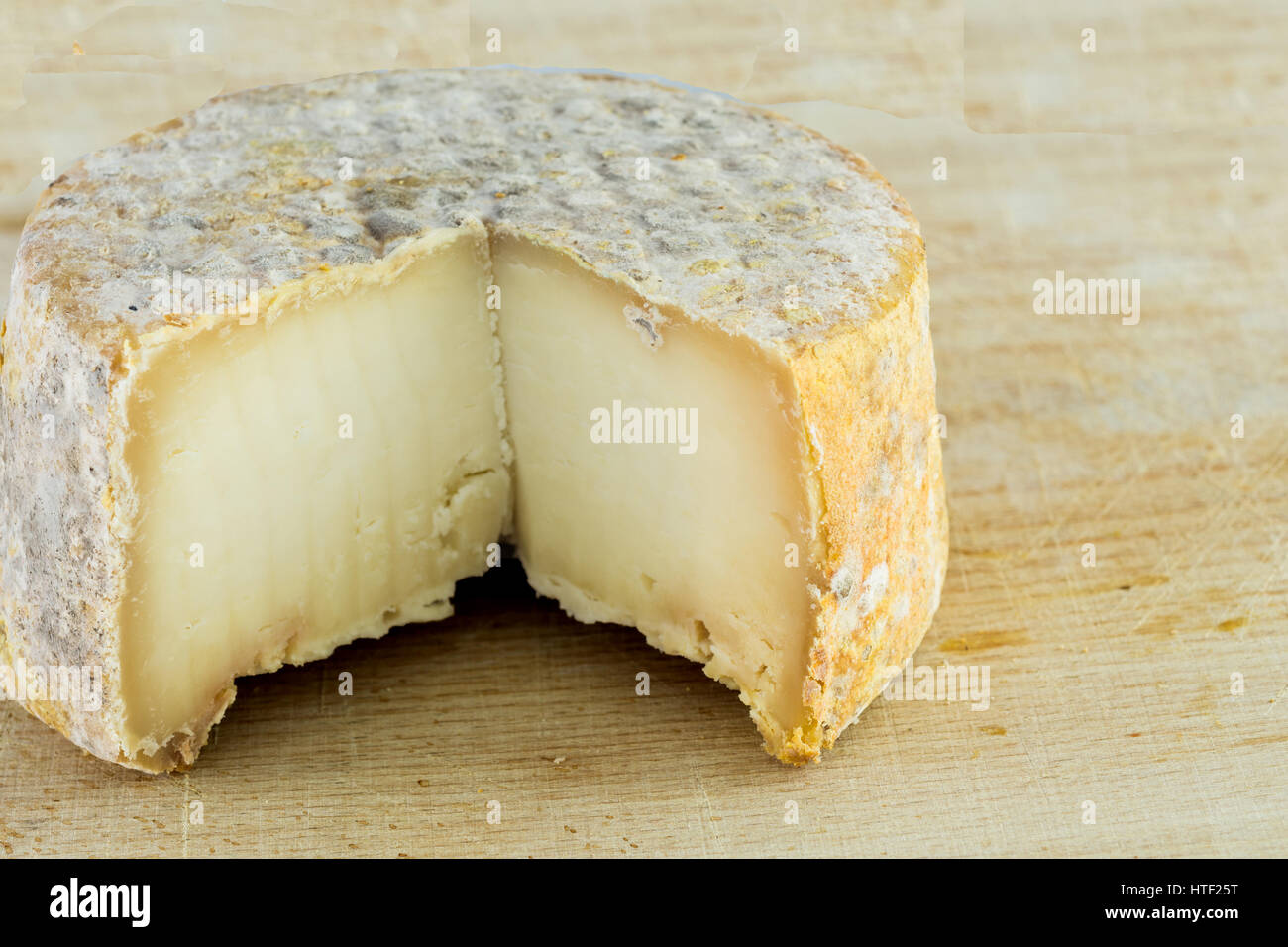 The form of hard cheese of a bloomy rind goat's milk, frost crust ...