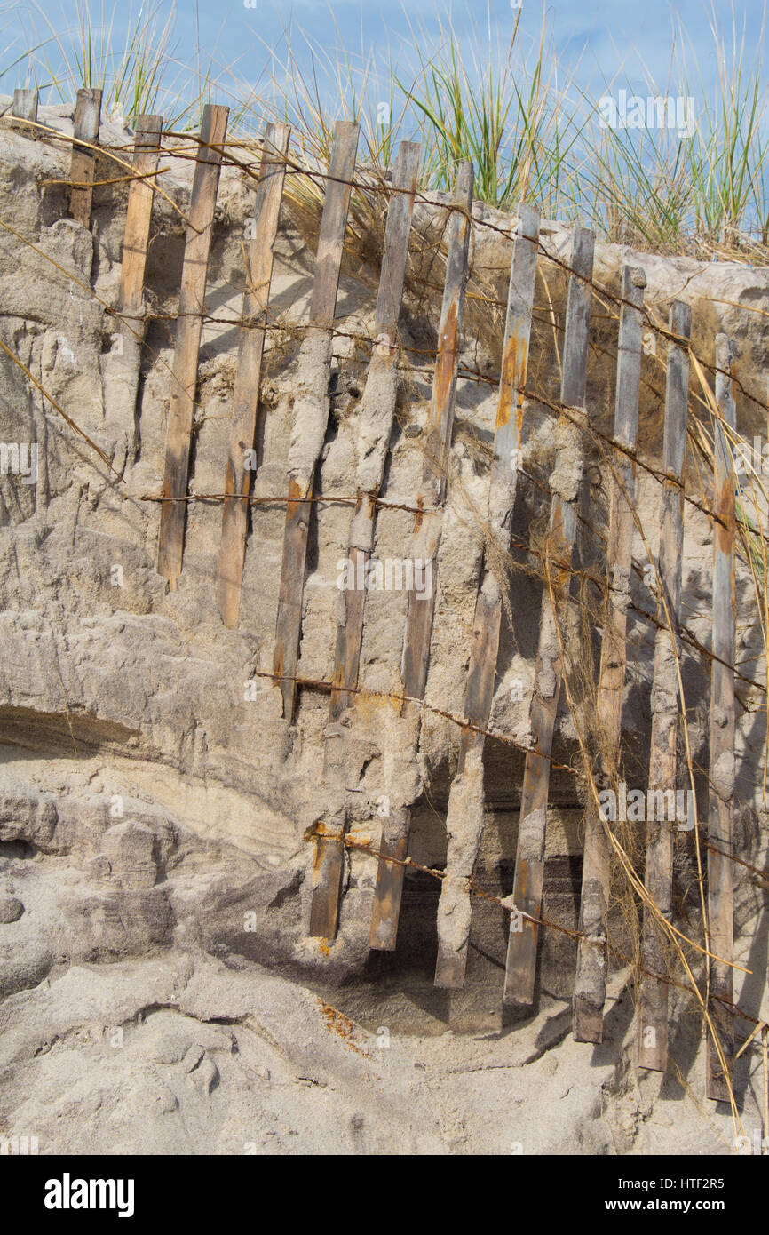 Dune erosion after storm hi-res stock photography and images - Alamy