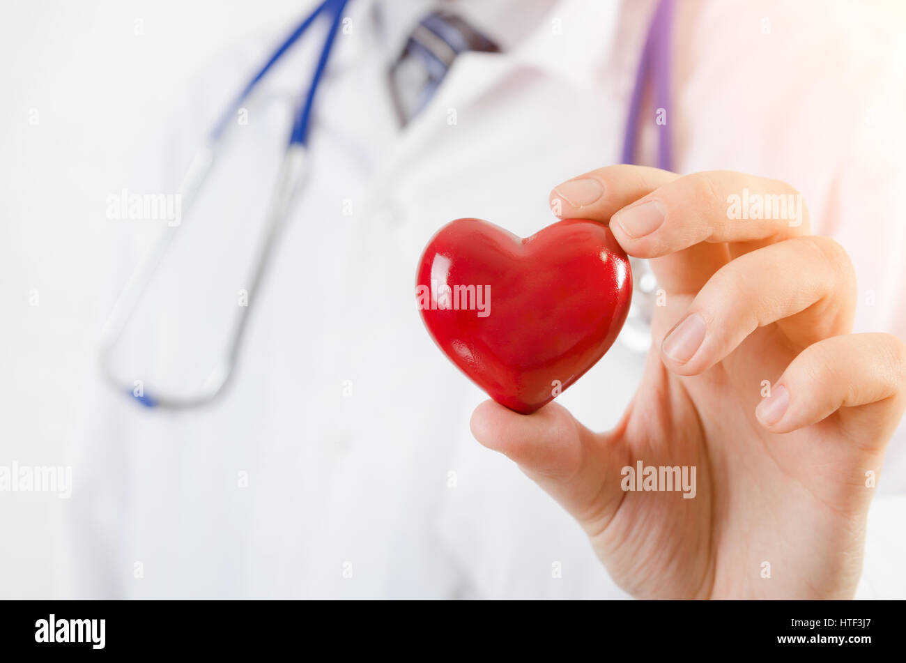 Cardiologist Holding Heart 3d Model Heart Medicine Doctor Healthcare